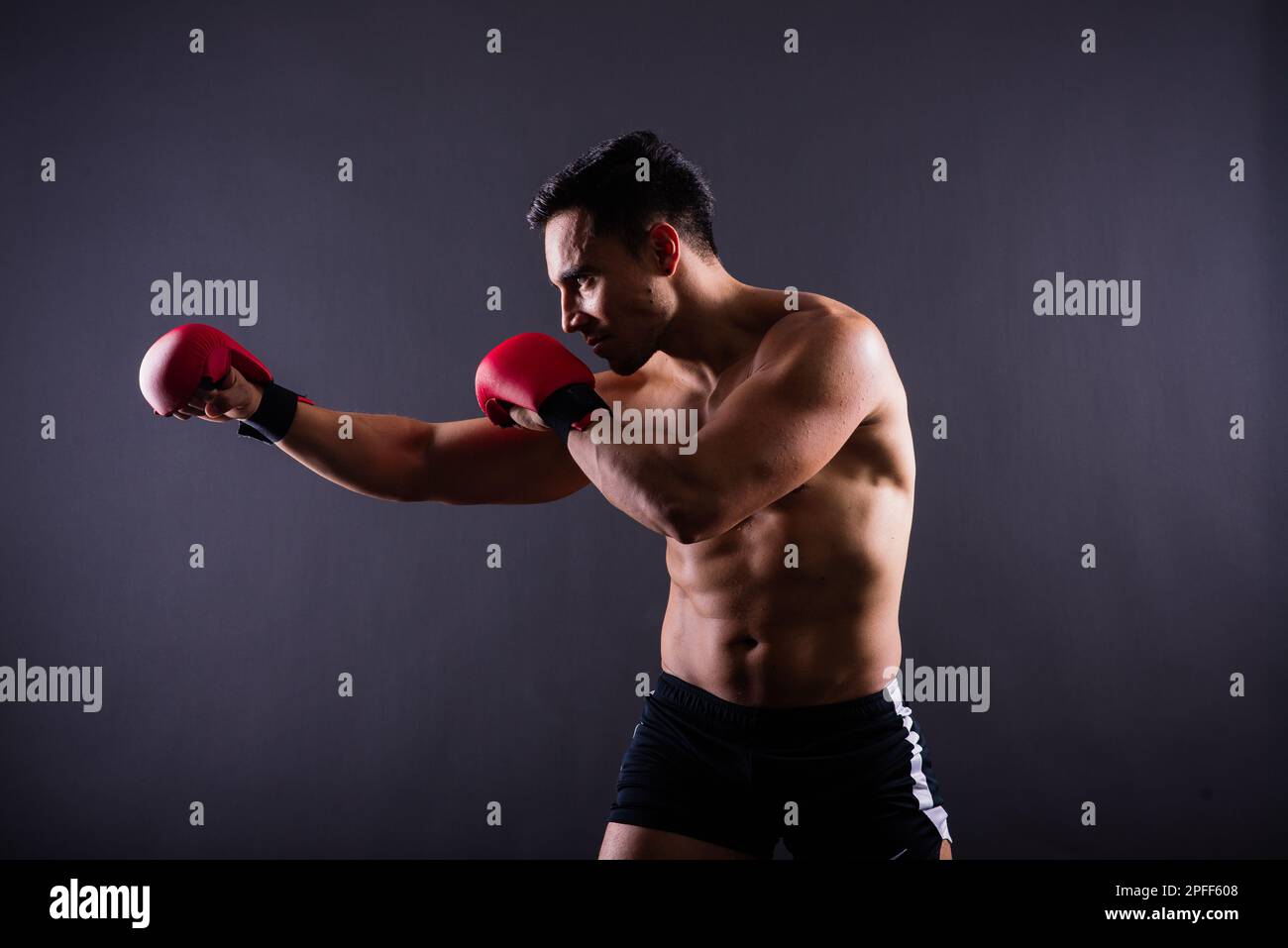 Muscular model sports young man in a boxing gloves on grey background ...