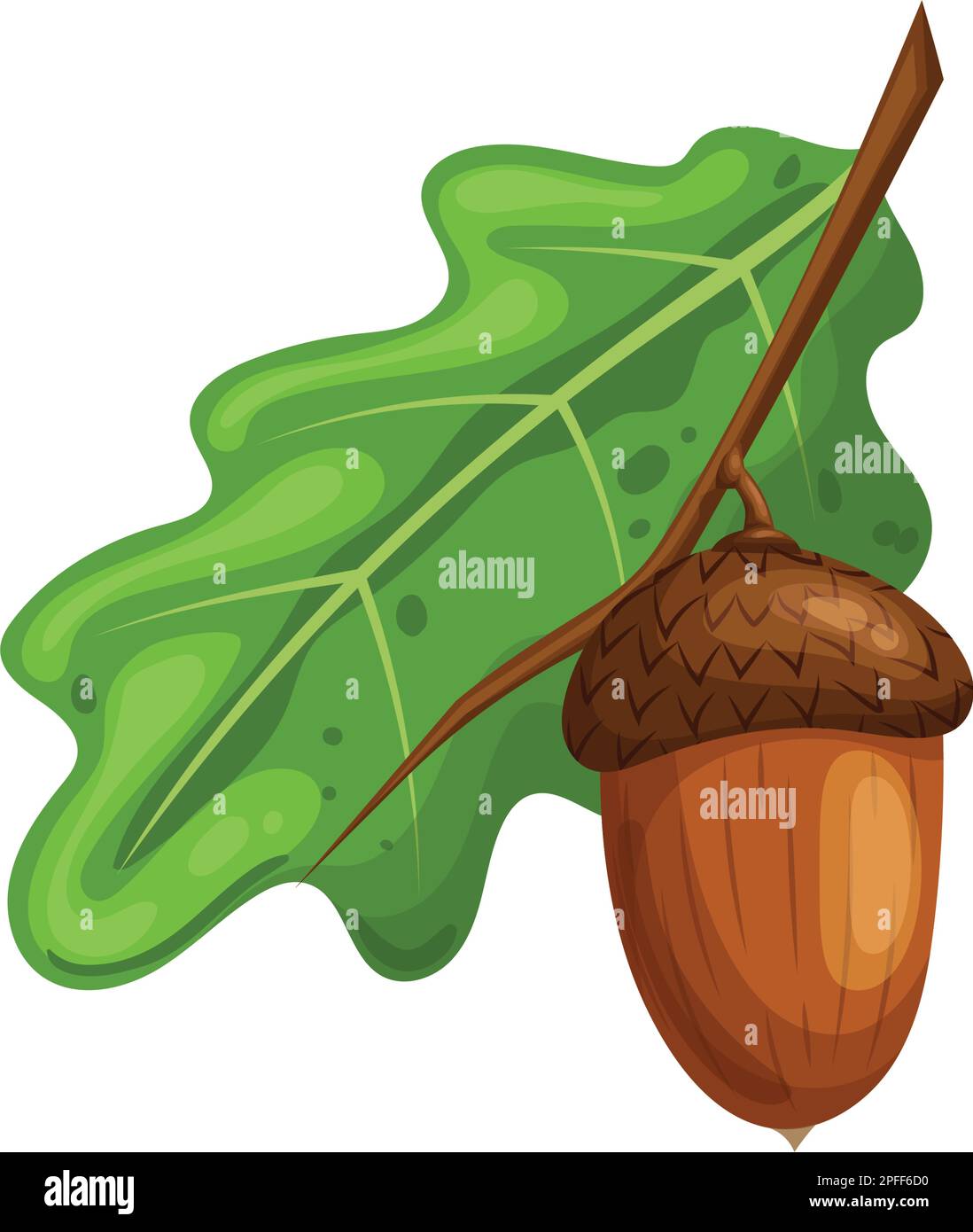 acorn oak leaf cartoon vector illustration Stock Vector Image & Art - Alamy
