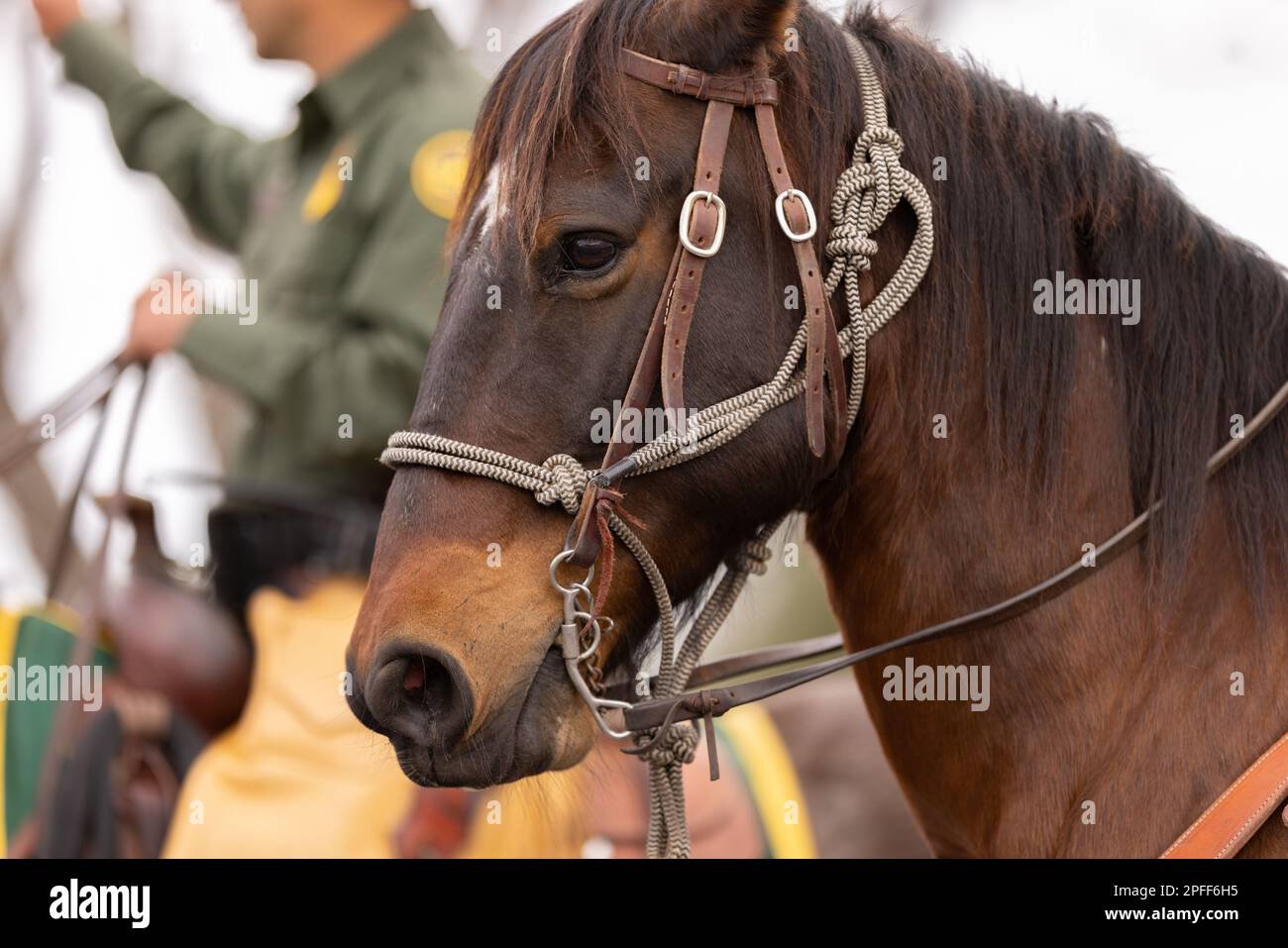 Texas border 2022 hi-res stock photography and images - Alamy