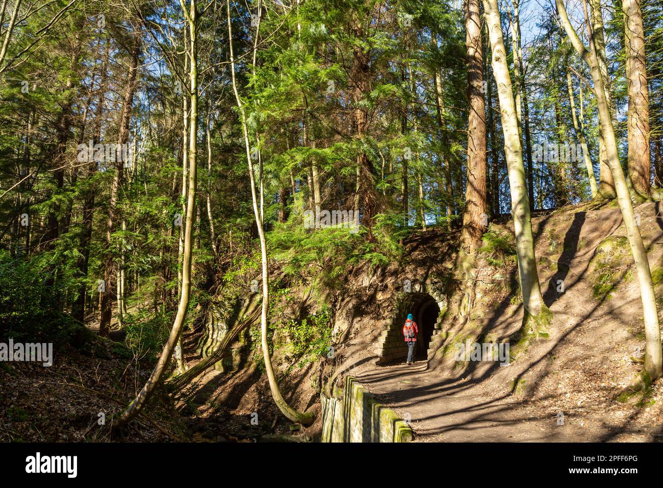 A footpath through Maspie Den a hidden gem of Fife in Falkland Estate ...