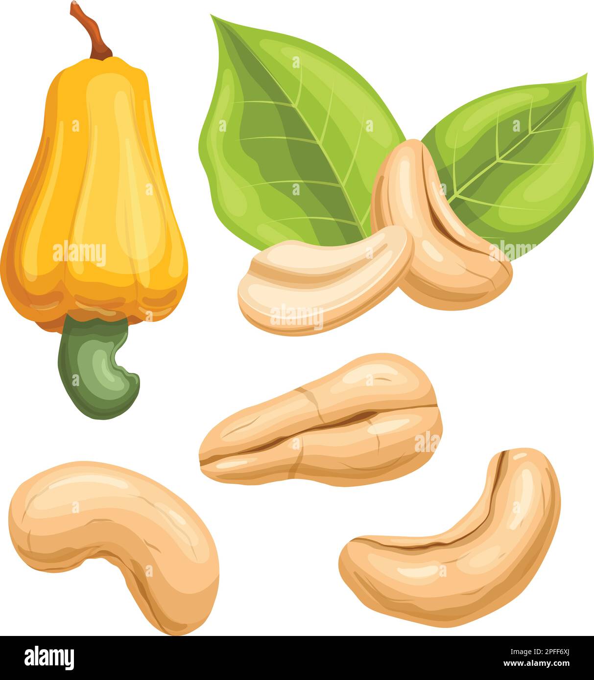 cashew nut set cartoon vector illustration Stock Vector Image & Art - Alamy
