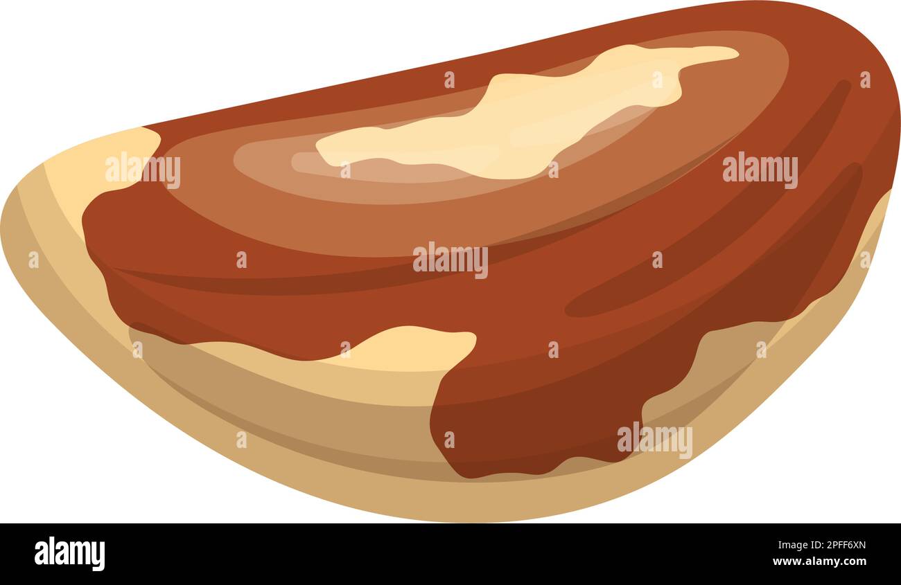 brazil nut healthy food cartoon vector illustration Stock Vector Image ...