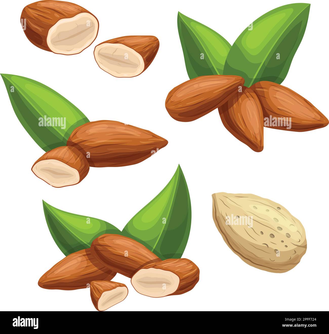 almond nut food set cartoon vector illustration Stock Vector Image ...
