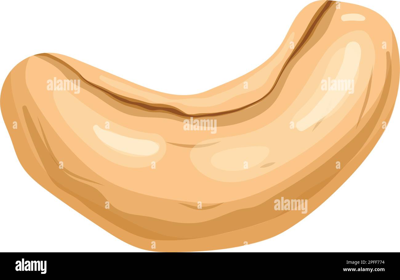 cashew nut food cartoon vector illustration Stock Vector Image & Art ...
