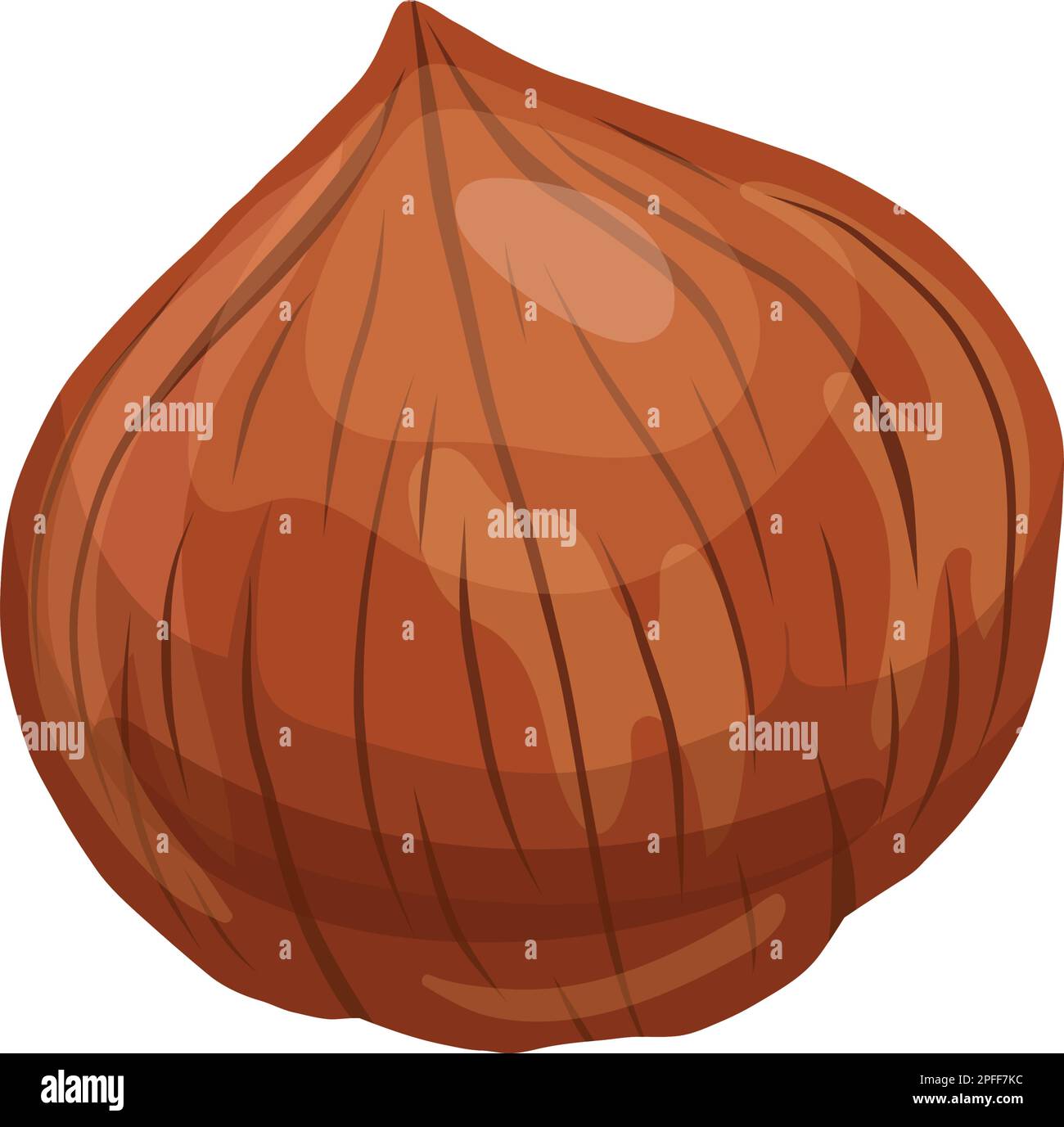hazelnut brown nut cartoon vector illustration Stock Vector Image & Art ...