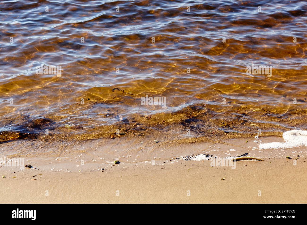Water's edge on the shore. Wave of blue sea on sandy beach. Beautiful ...