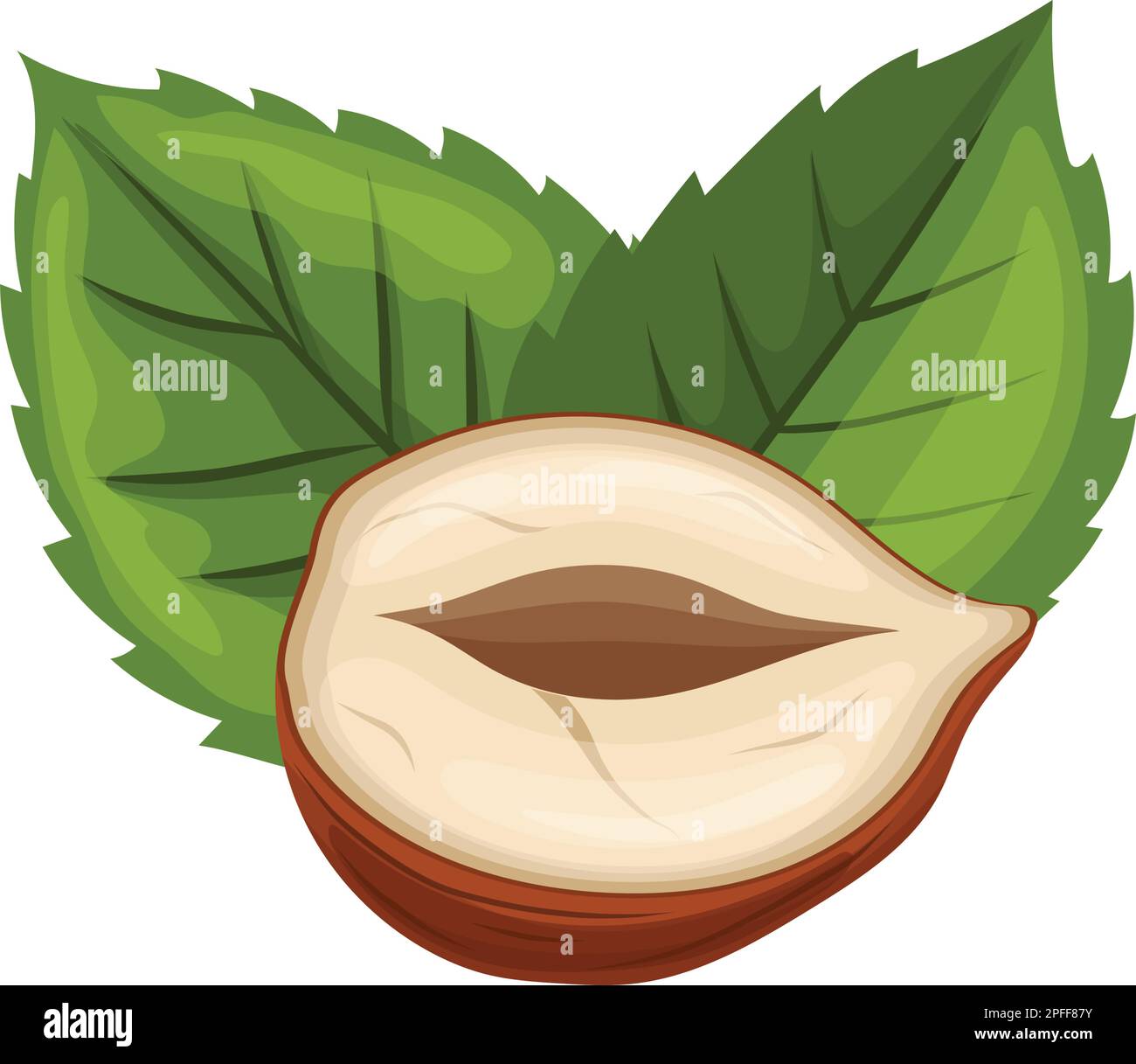 hazelnut eat nut cartoon vector illustration Stock Vector Image & Art ...