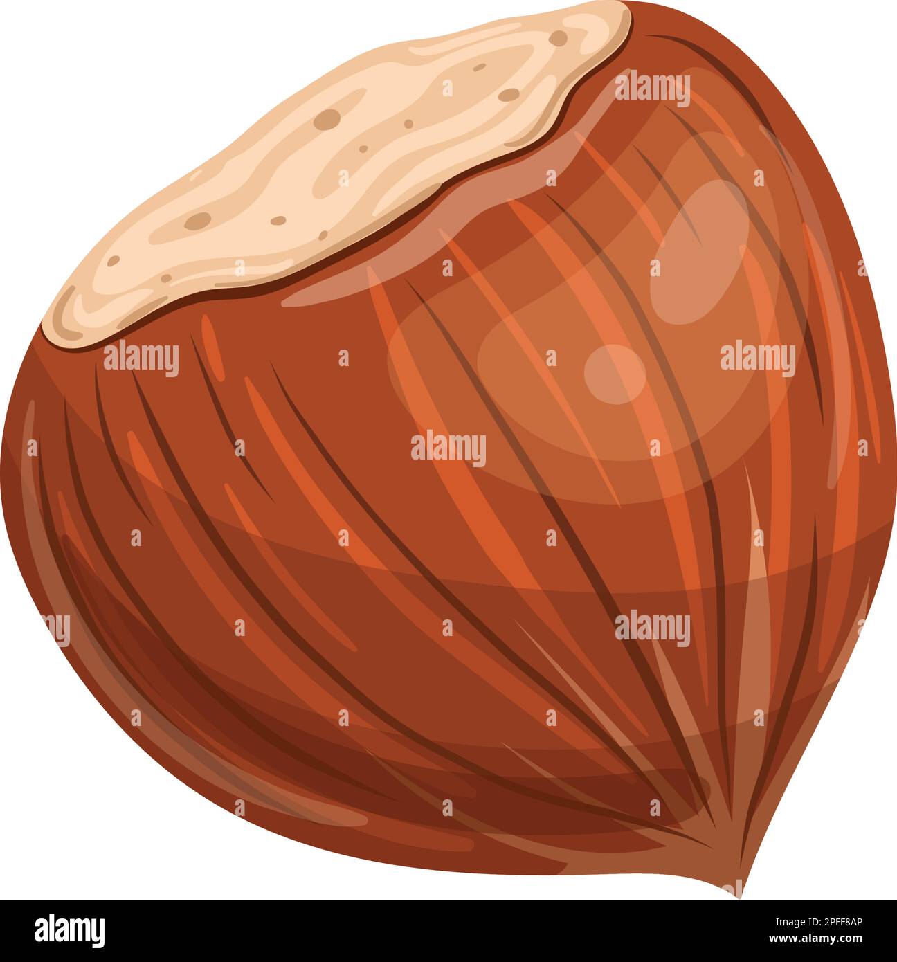 hazelnut brown nut cartoon vector illustration Stock Vector Image & Art ...