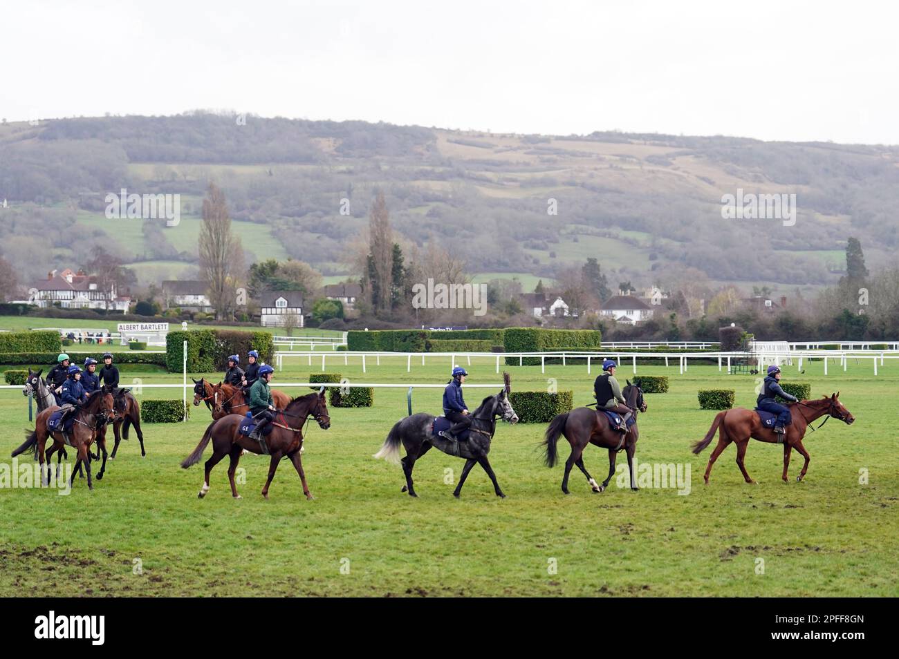 Gordon Elliott trained horses on the gallops ahead of day four of the ...