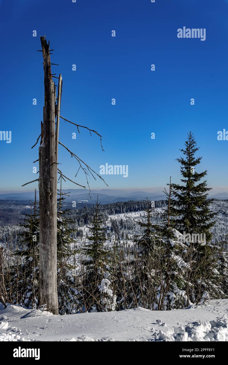 Winter landscape on the top of the Lusen mountain in the Bavarian Forest, Bavaria, Germany Stock ...