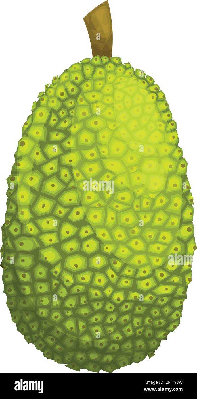 Jackfruit tree Stock Vector Images - Alamy