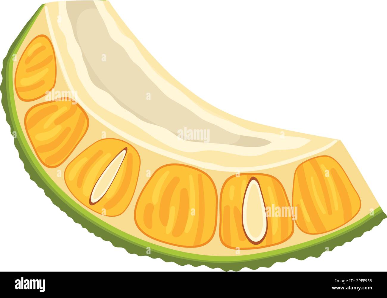 jackfruit slice cut cartoon vector illustration Stock Vector Image & Art - Alamy