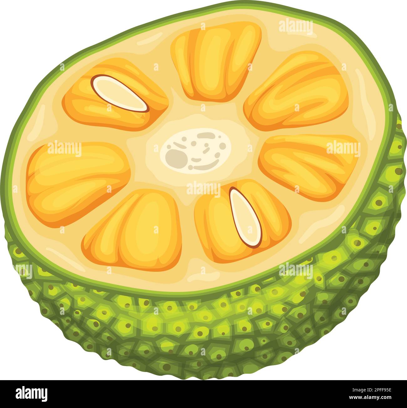 jackfruit slice cut cartoon vector illustration Stock Vector Image ...