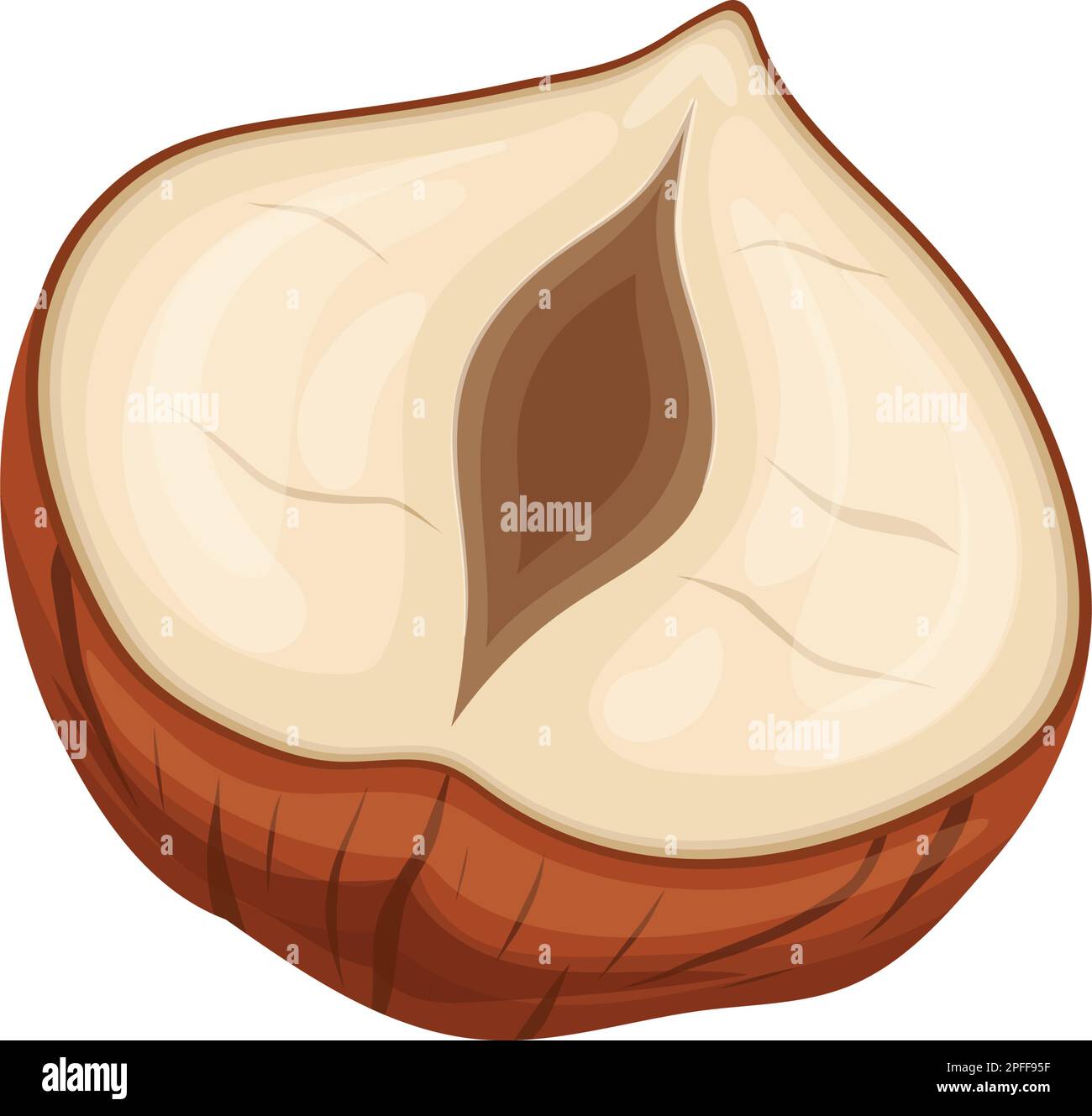 hazelnut eat nut cartoon vector illustration Stock Vector Image & Art ...