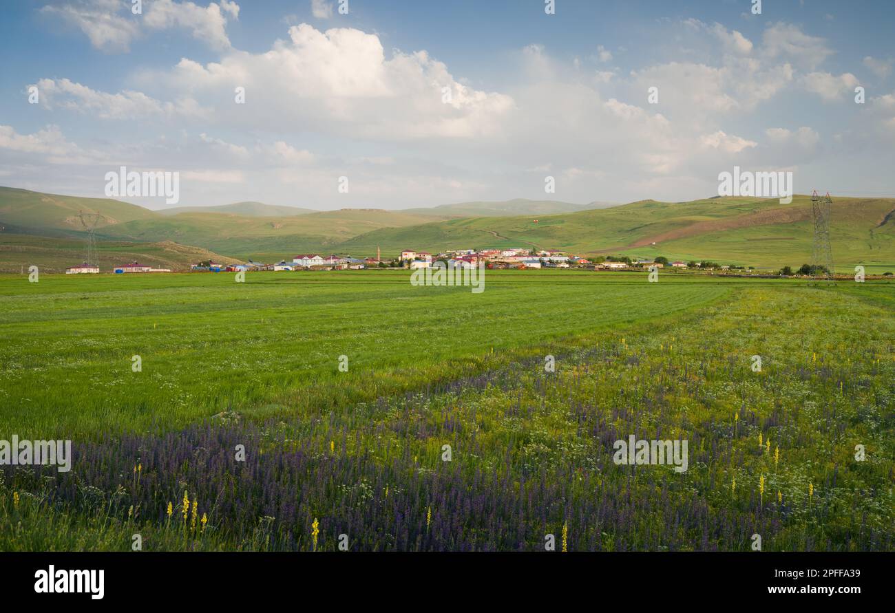 Grasslands and Turkish village in Ardahan countryside. Turkey Stock ...