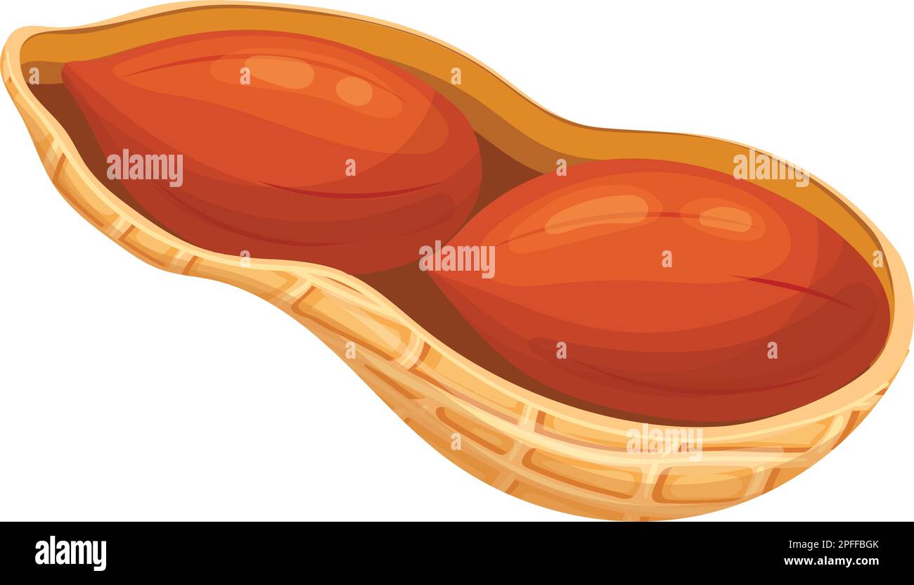 peanut natural cartoon vector illustration Stock Vector Image & Art - Alamy