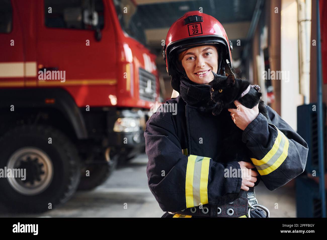 Fire station pet cat hi-res stock photography and images - Alamy