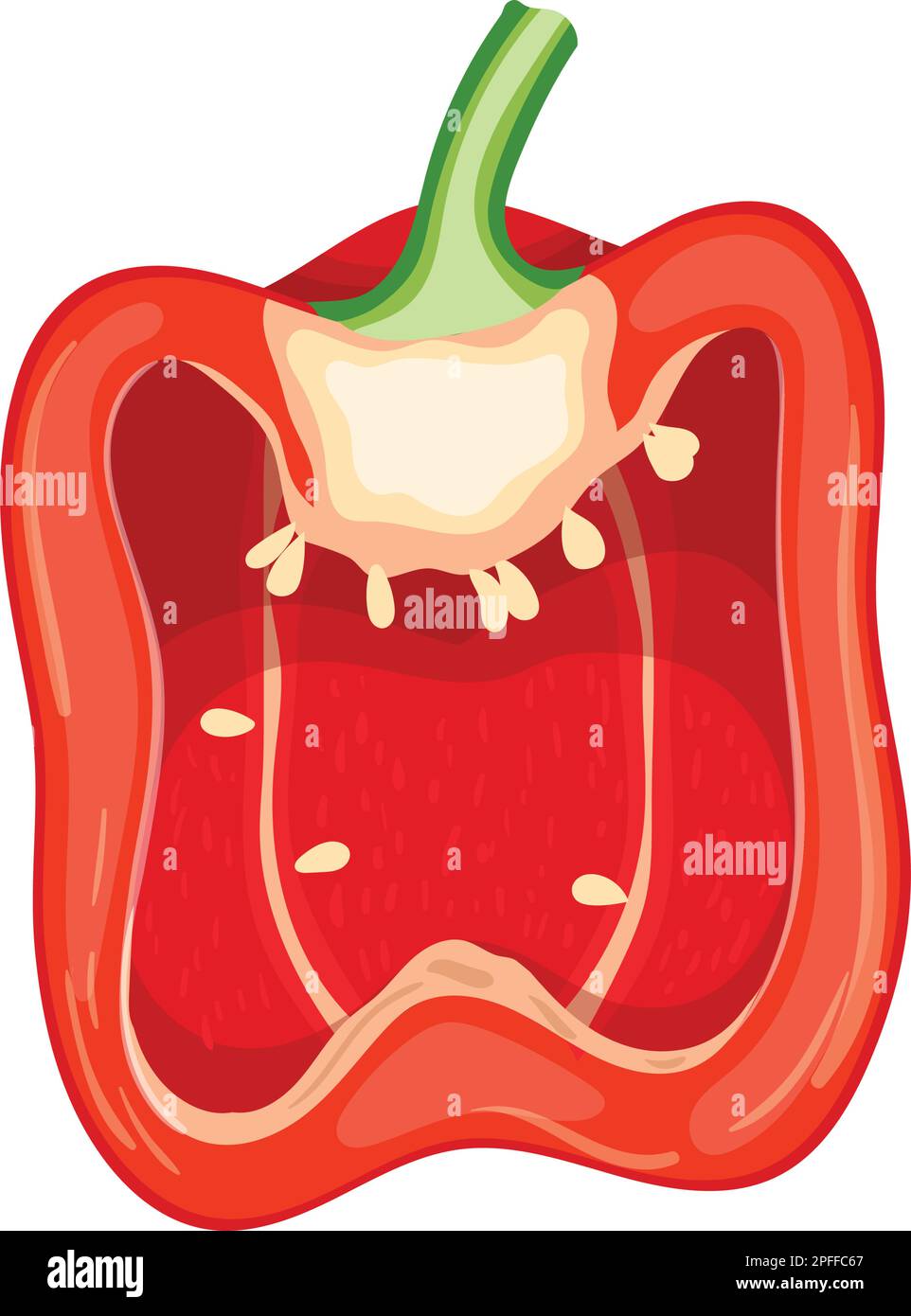 red pepper slice cartoon vector illustration Stock Vector Image & Art ...