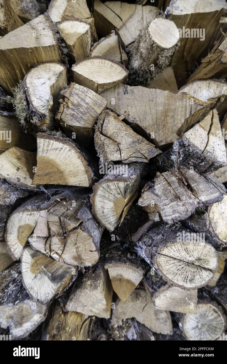 Detail of pieces of tree wood to burn, firewood and heat in the cold ...