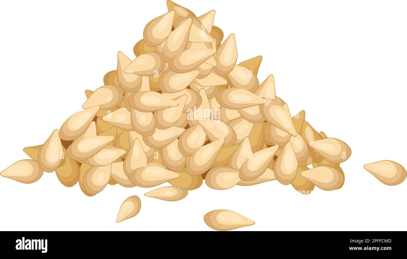 sesame seed white pile cartoon vector illustration Stock Vector Image ...