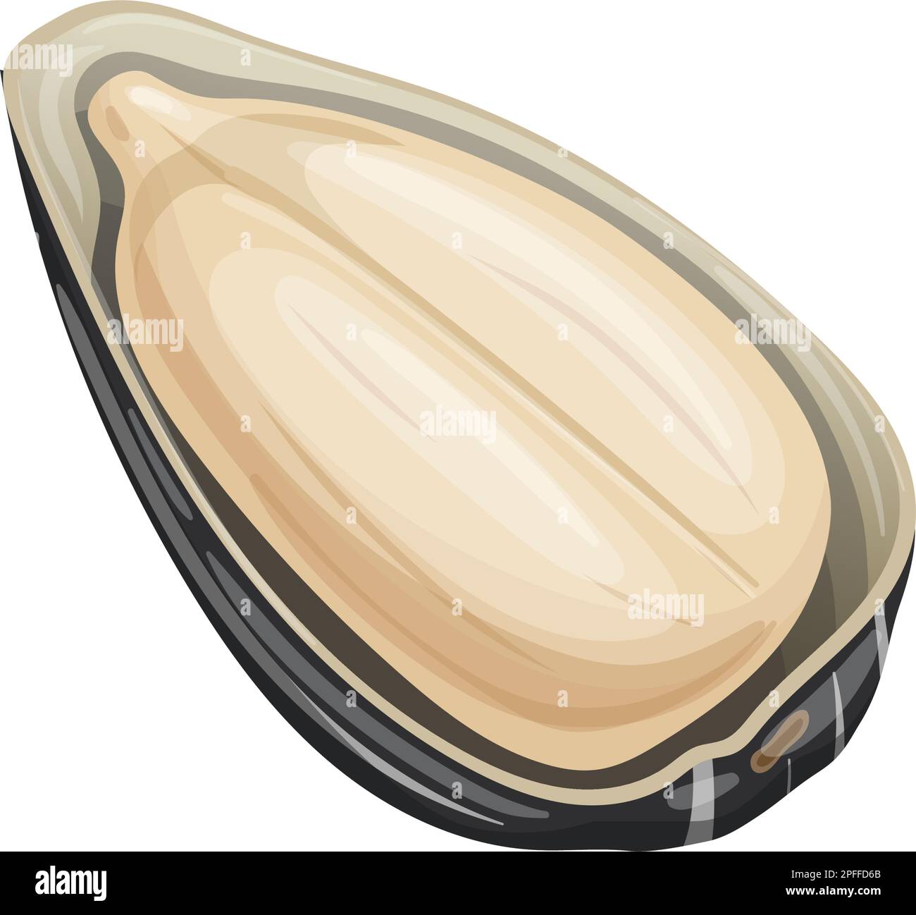 sunflower seed black cartoon vector illustration Stock Vector Image ...