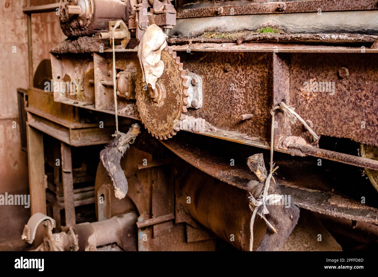 A creepy installation at an abandoned factory, rusty metal and animal ...