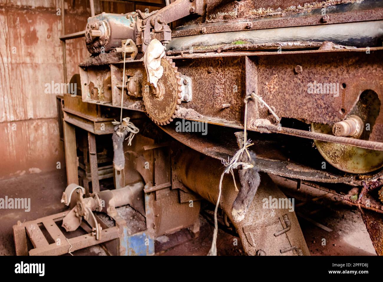 A creepy installation at an abandoned factory, rusty metal and animal ...