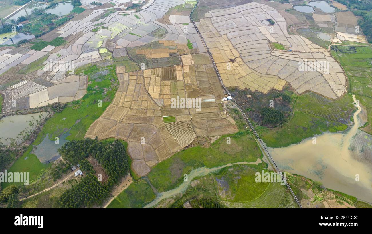 Aerial photo shows the spring scenery in Guancheng Town, Pingnan County ...
