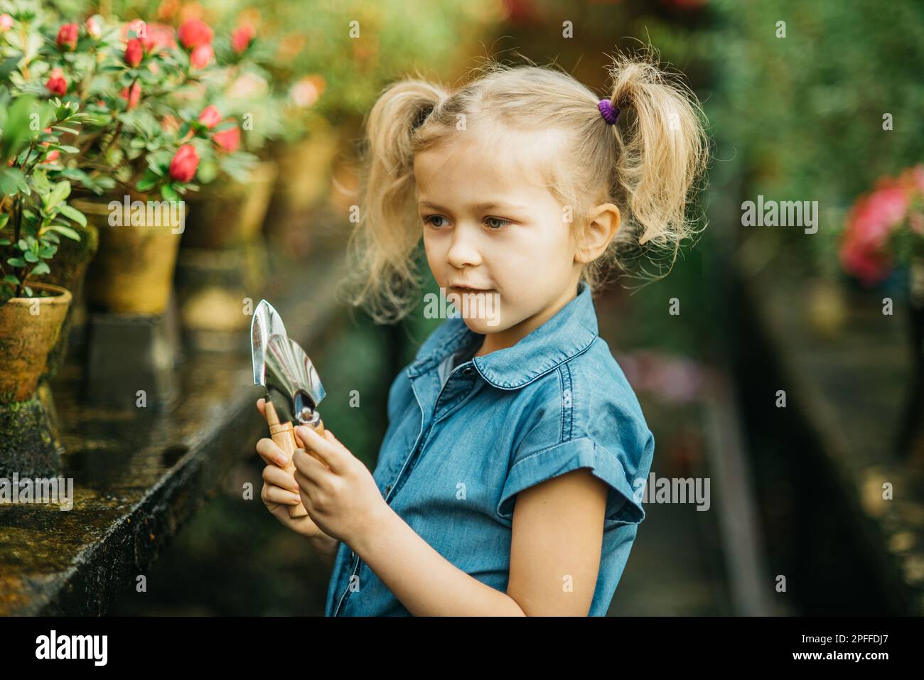 Child planting spring flowers. Little girl gardener plants azalea. Girl ...