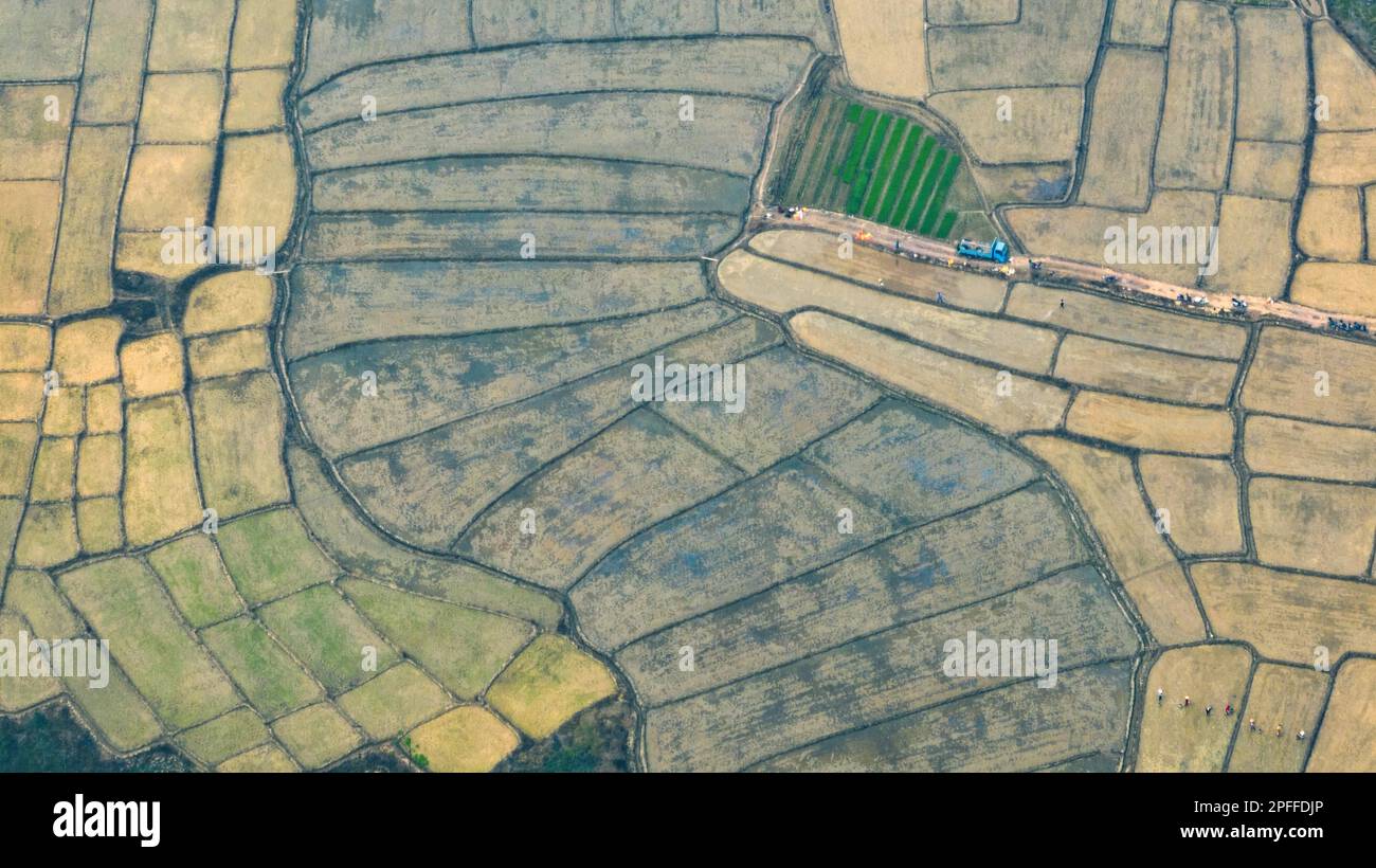 Aerial photo shows the spring scenery in Guancheng Town, Pingnan County ...