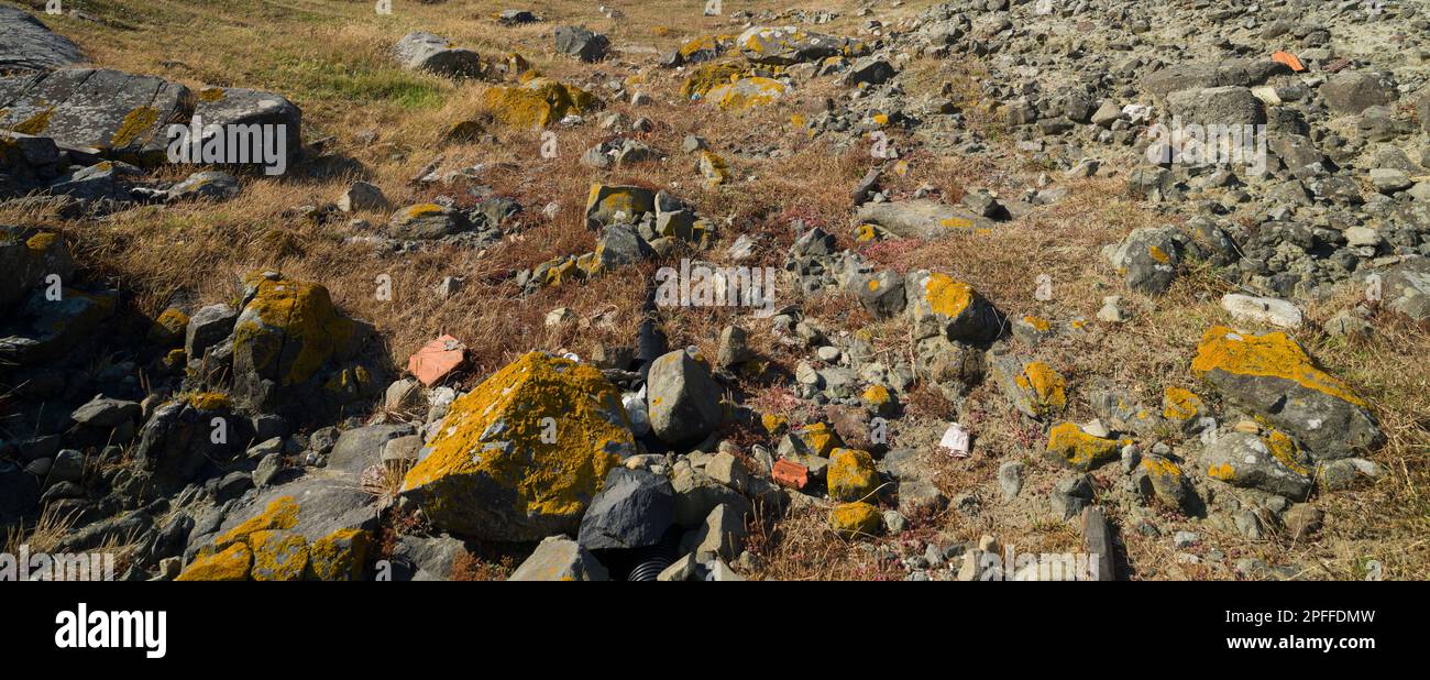 Construction trash and everyday waste on mossy rocky area Stock Photo ...