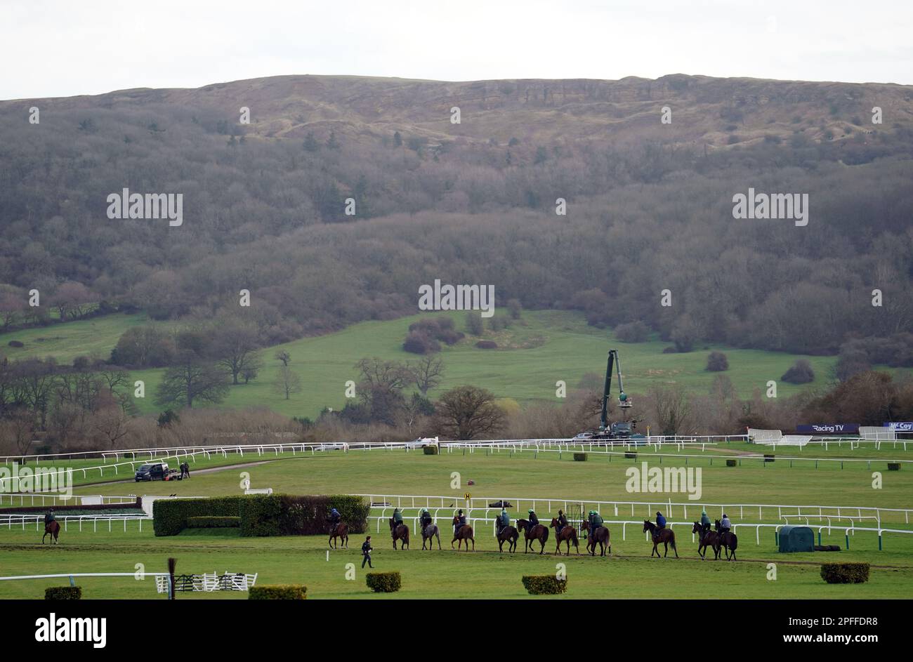 Cheltenham festival 2023 horses hi-res stock photography and images - Alamy