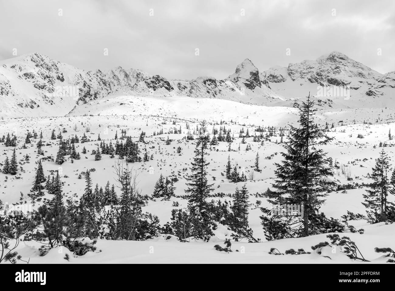 Winter landscape in the Tatra Mountains . Poland Stock Photo - Alamy