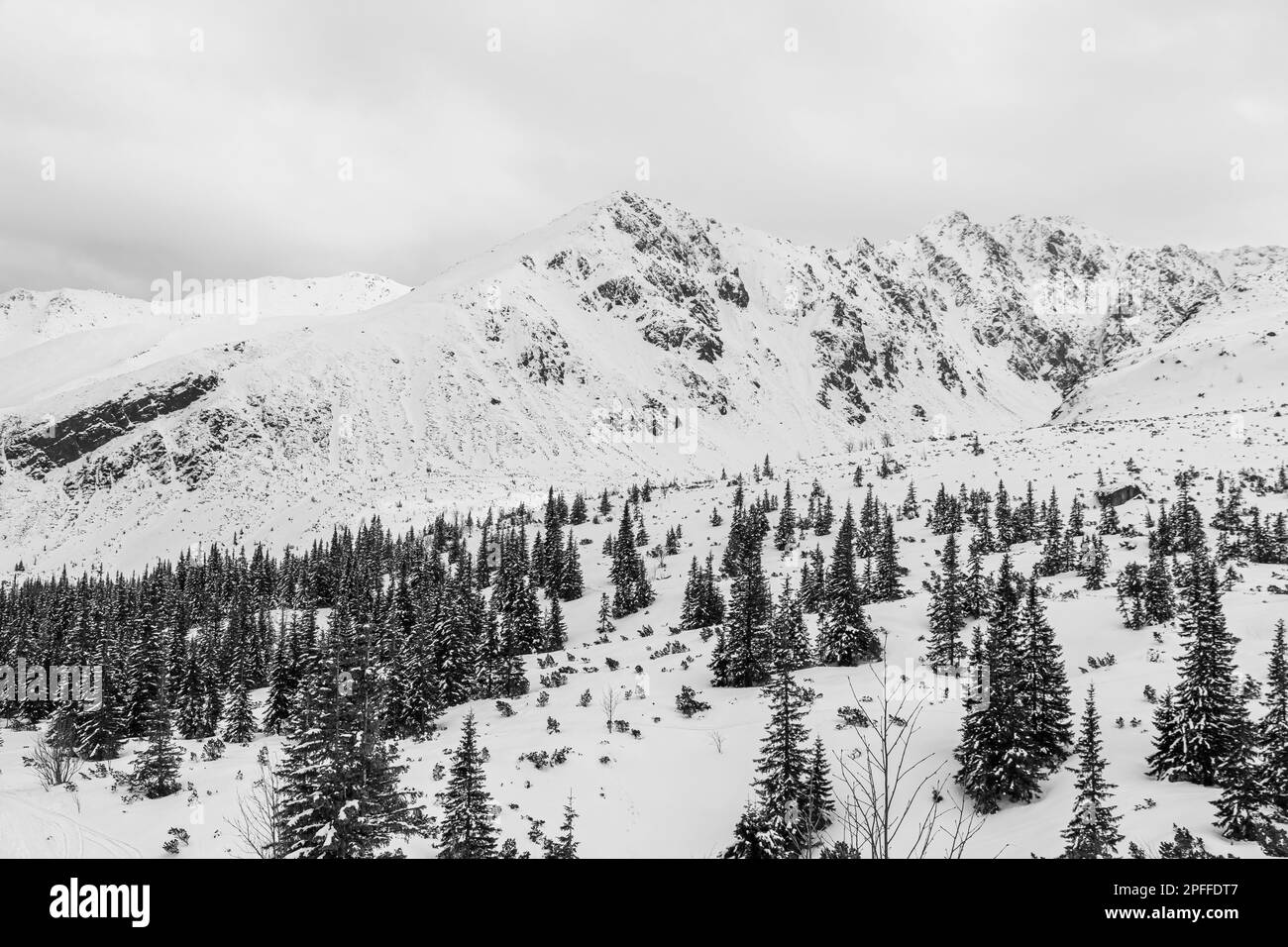 Winter landscape in the Tatra Mountains . Poland Stock Photo - Alamy