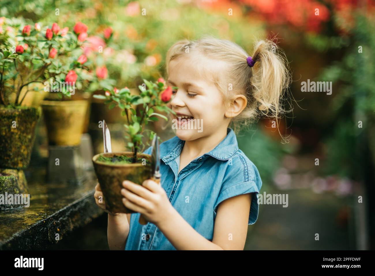 Child planting spring flowers. Little girl gardener plants azalea. Girl ...