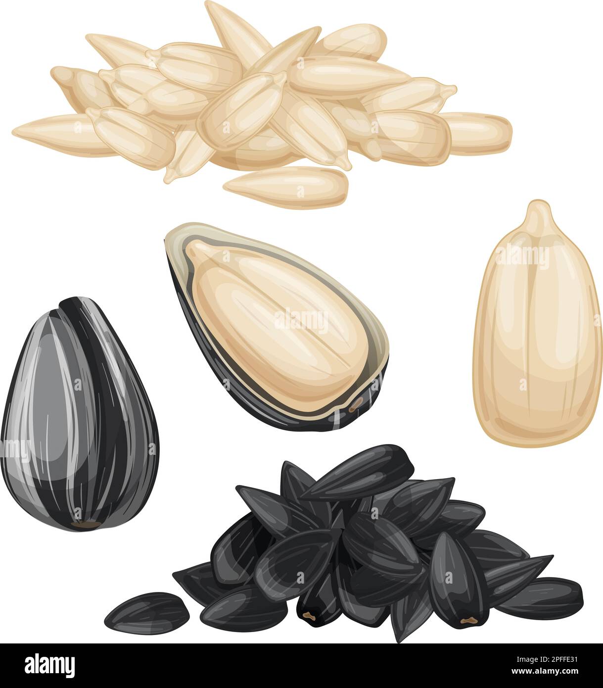 Sunflower Seeds Clipart