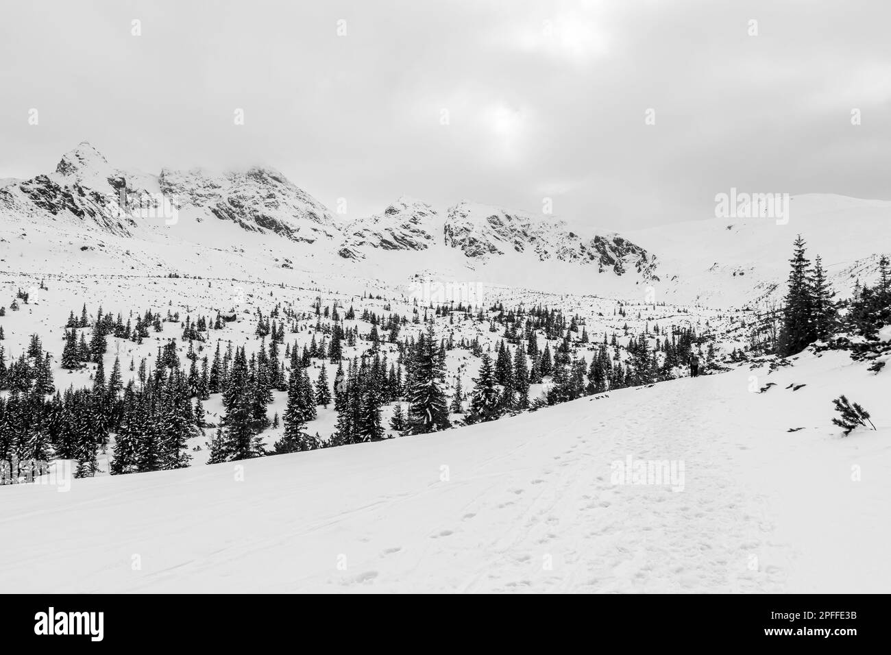 Winter landscape in the Tatra Mountains . Poland Stock Photo - Alamy