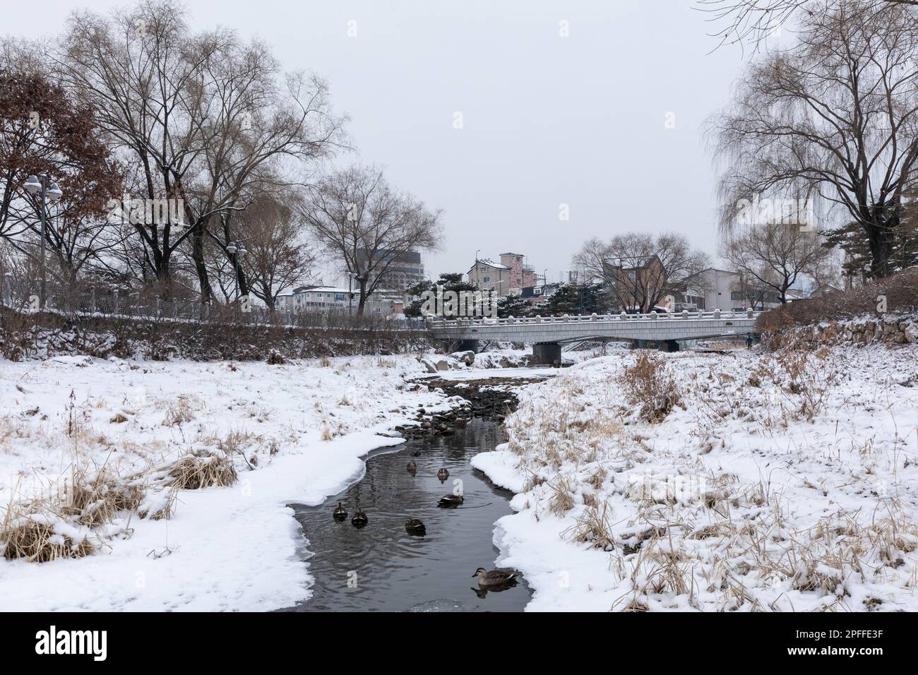 Suwoncheon hi-res stock photography and images - Alamy
