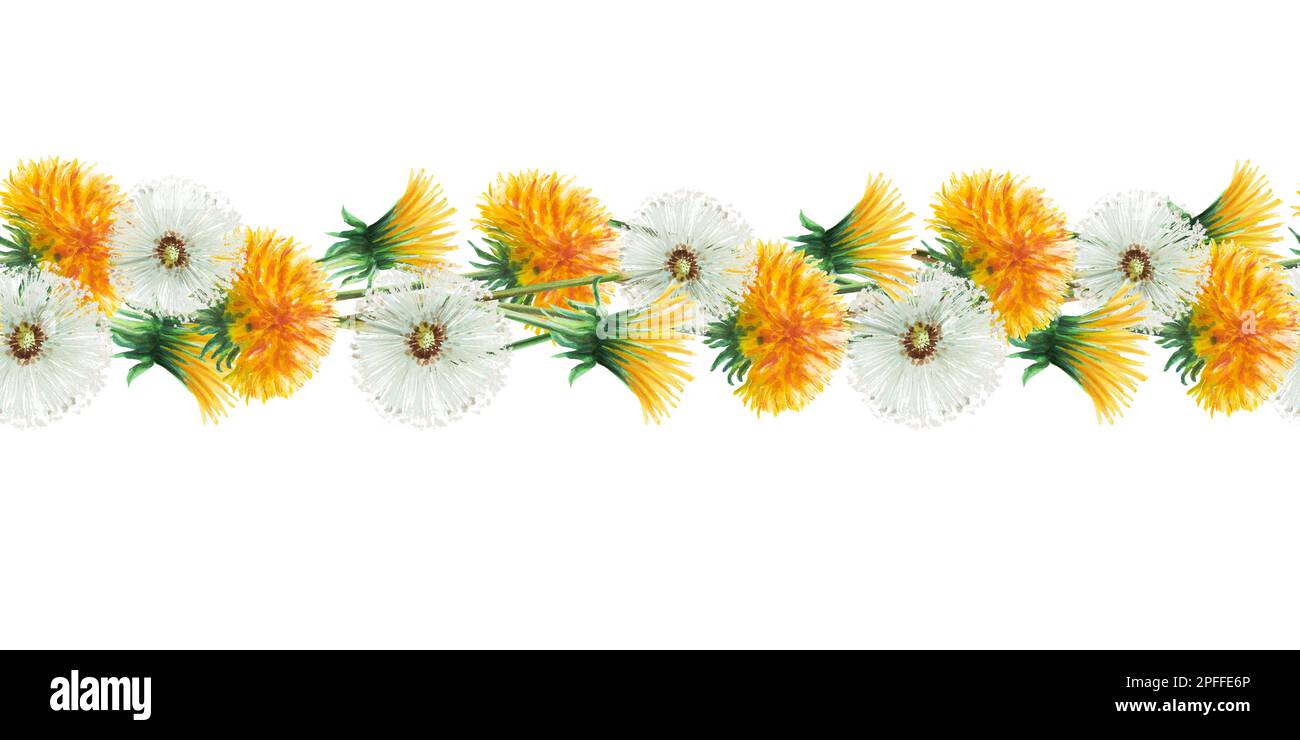 Flower Border Line Green