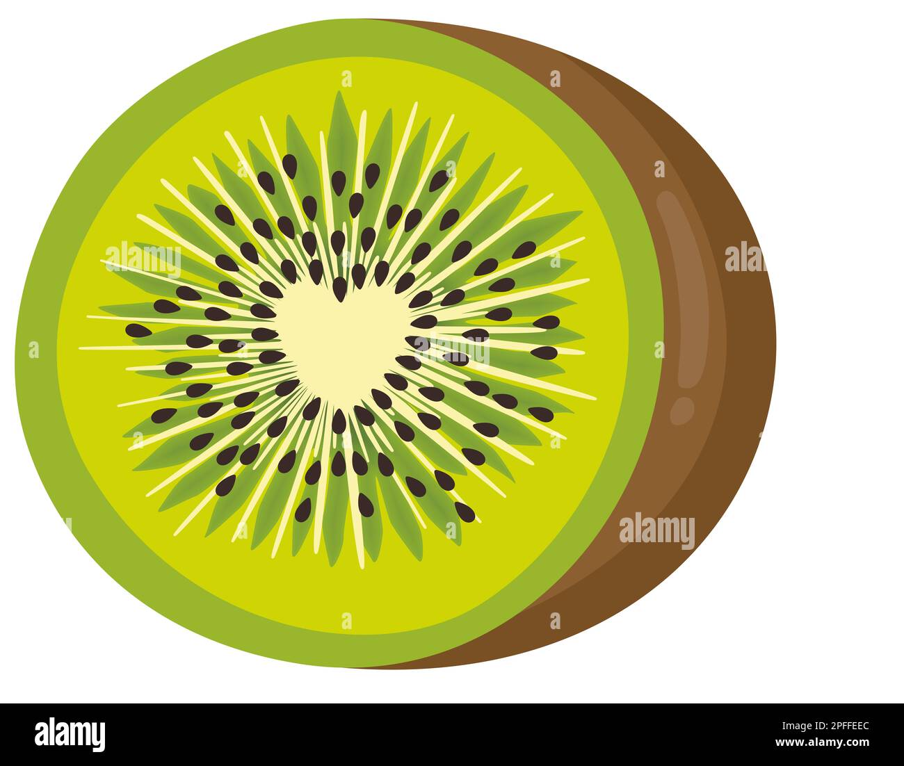 Slice kiwi vector in Cut Out Stock Images & Pictures - Alamy