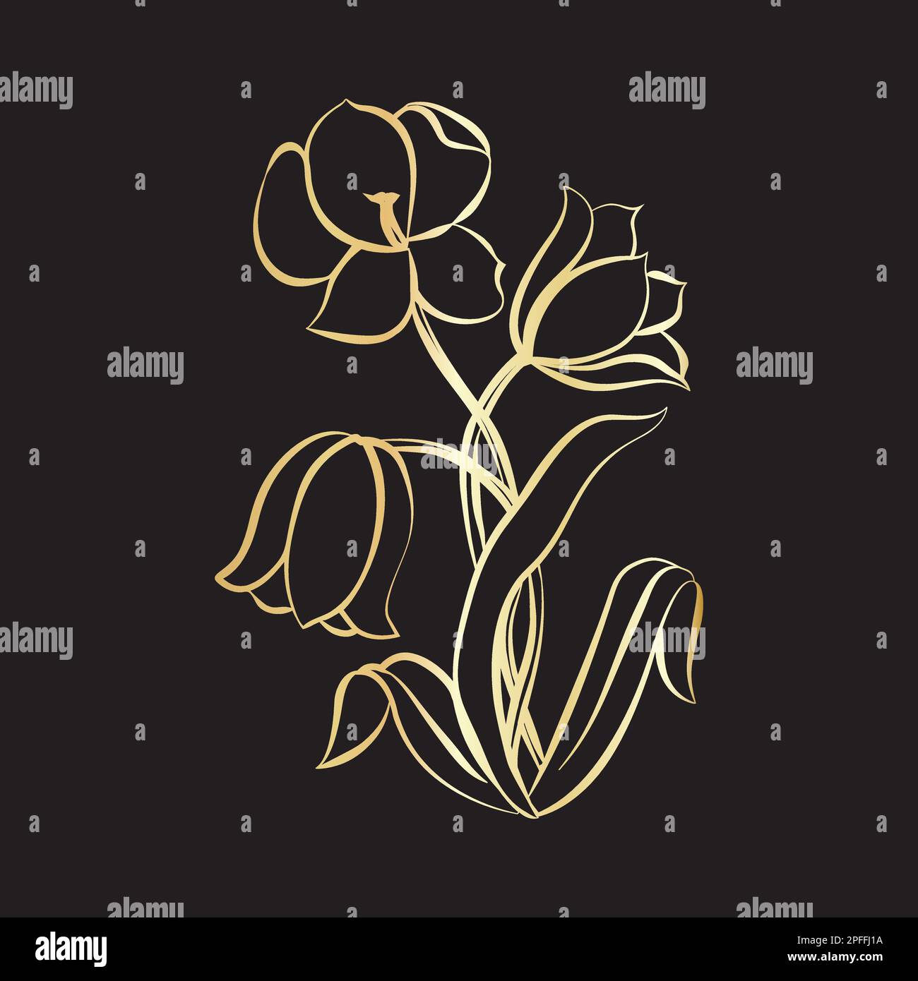 Flower tulip. Gold outline on black background, vector illustration ...