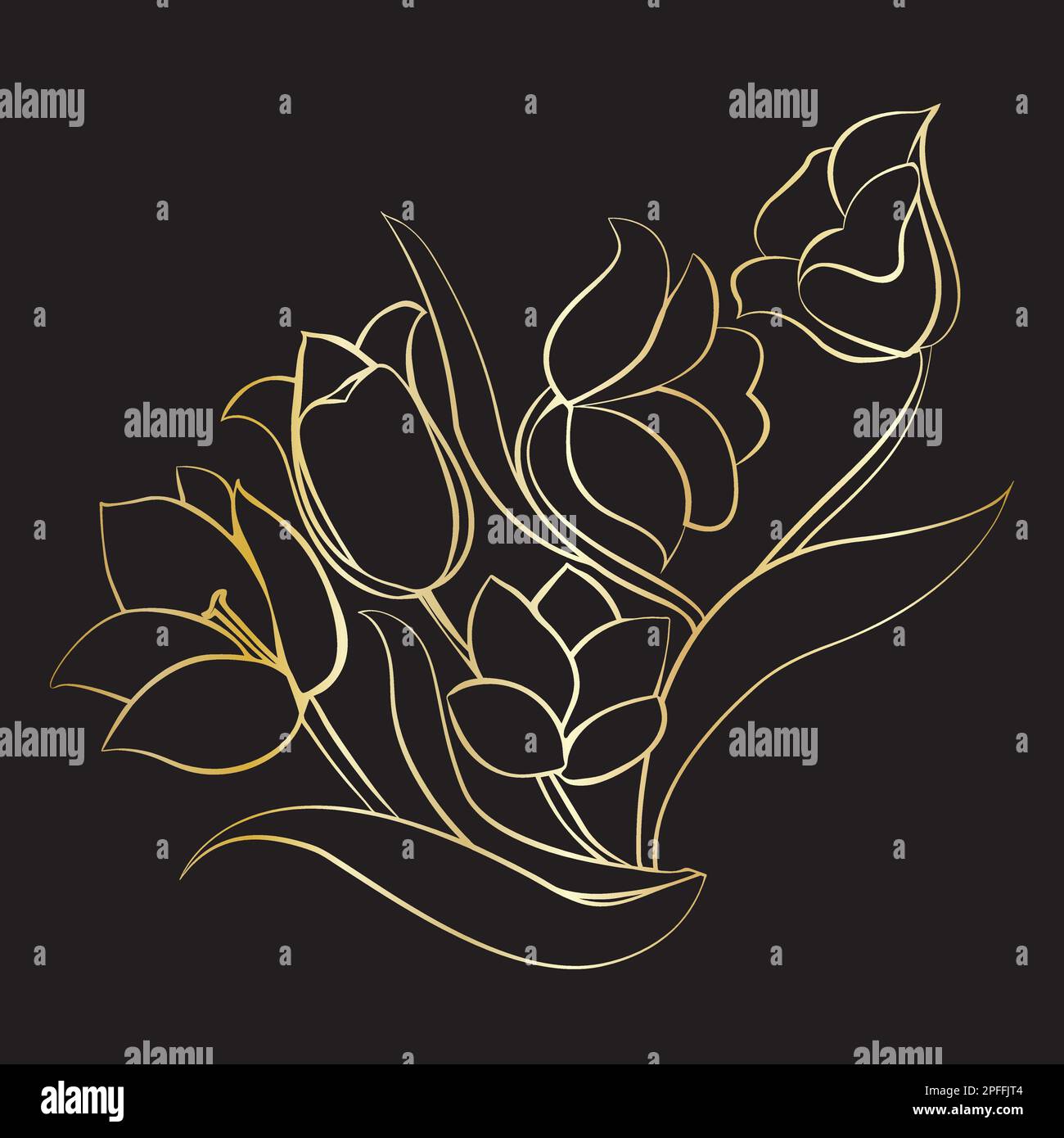 Flower tulip. Gold outline on black background, vector illustration ...