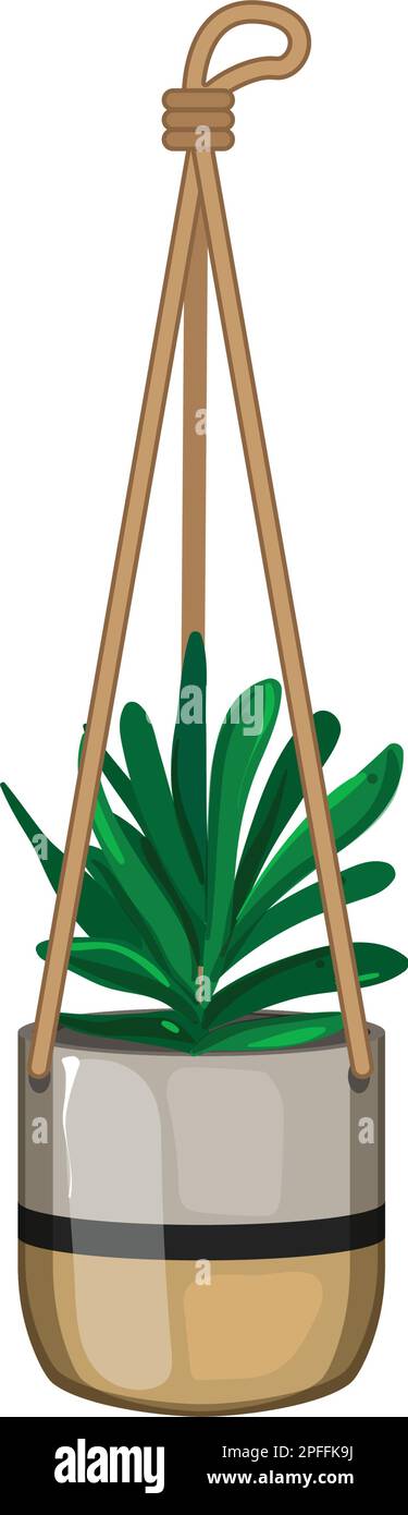 decoration hanging planter cartoon vector illustration Stock Vector ...