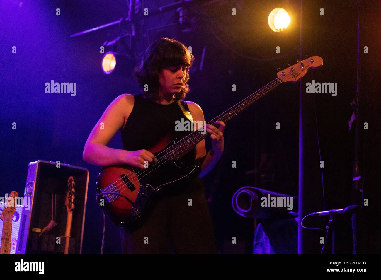 Finks hi-res stock photography and images - Alamy