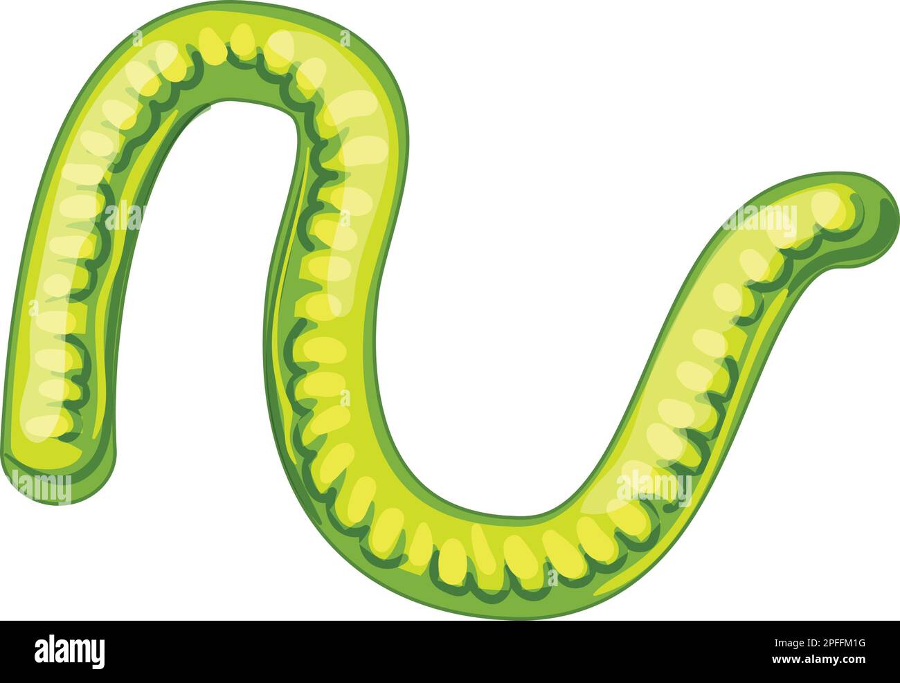 worm jelly candy cartoon vector illustration Stock Vector Image & Art ...