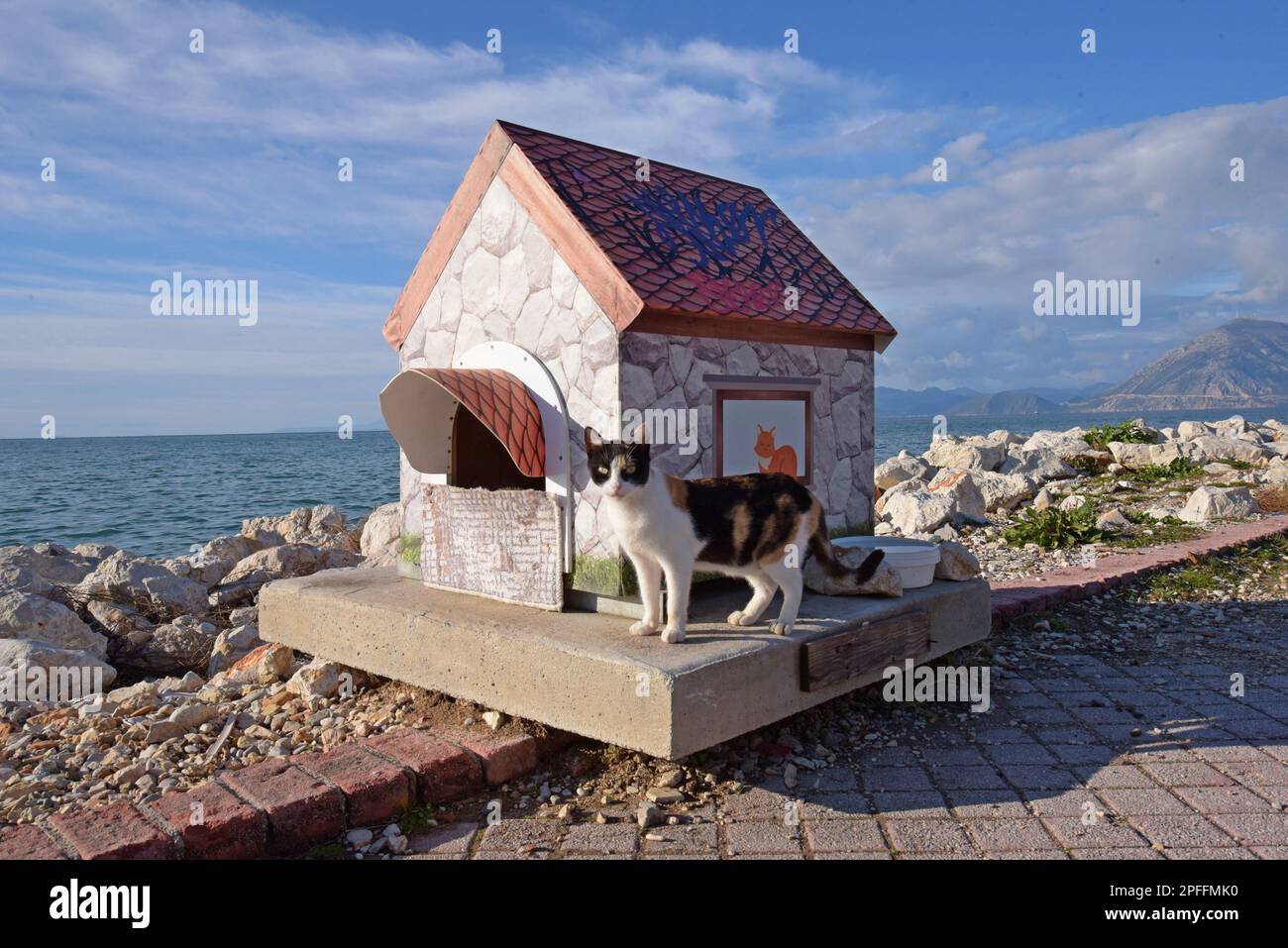 Stray cats in cat houses/kennels provided by rescue charities on the ...