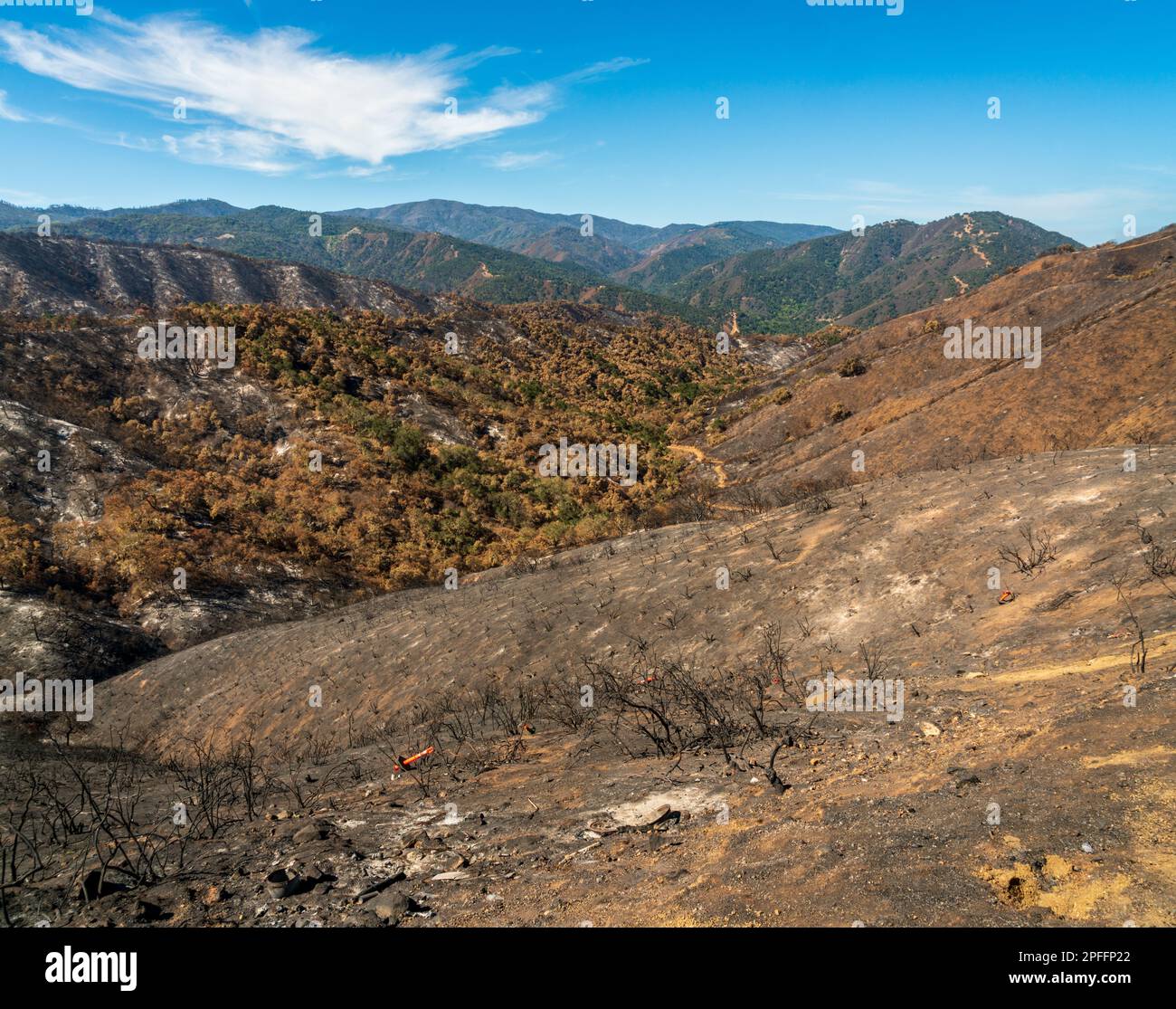 Burnt Remains of Forest Fire at Las Padres National Forest Stock Photo ...