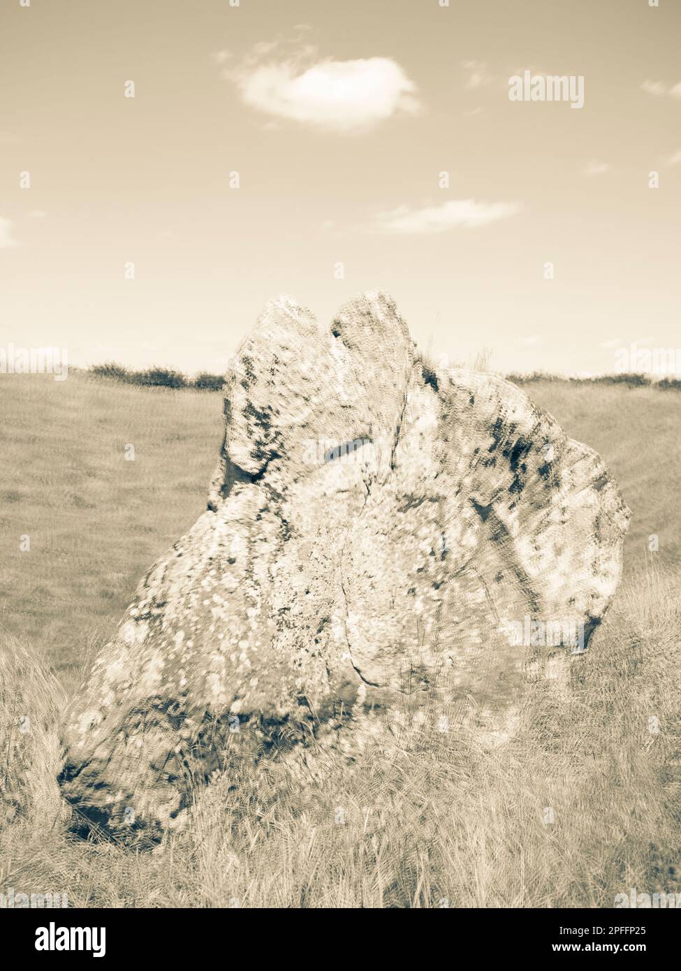 Black and White, Standing Stone, Ritual Landscape, Avebury, Wiltshire ...