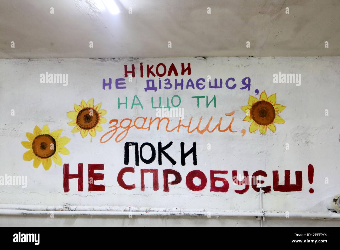 CHYHYRYN, UKRAINE - MARCH 15, 2023 - A motivational sentence (You'll ...