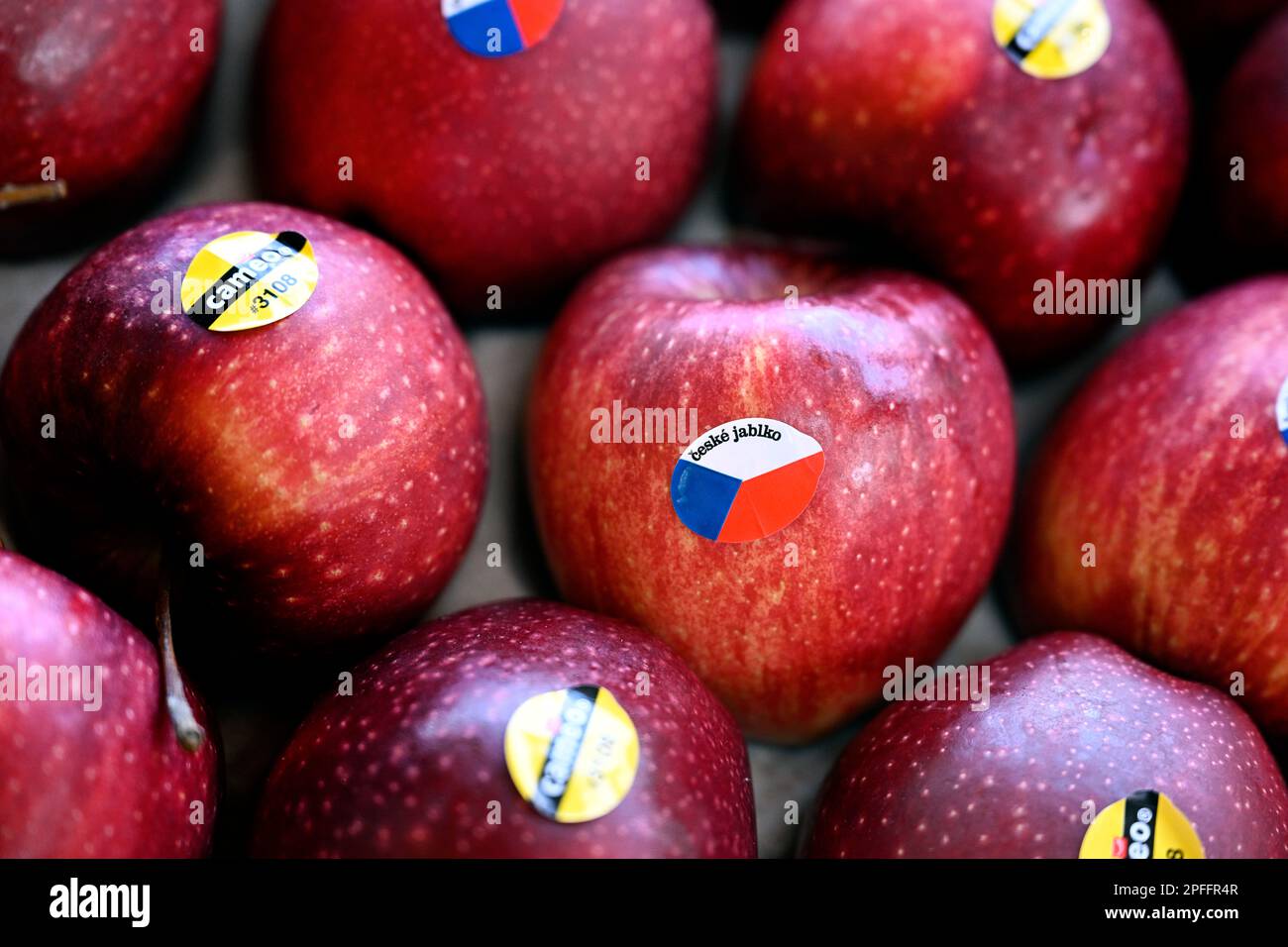 The loss of Czech fruit growers from last year's apple harvest will ...